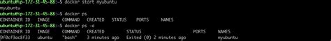 🐳docker 다루기2 Container