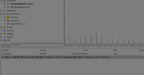 How To See Your Margin And Free Margin In Mt5 Blackbull Markets