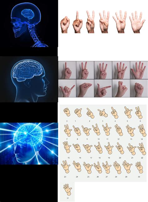 do bitwise operations by hand or count to 1023 r programmerhumor