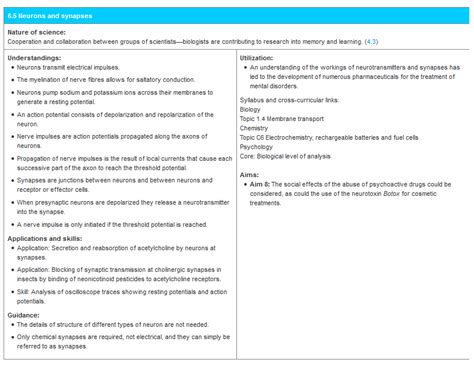 Neurons And Synapses IB BIOLOGY