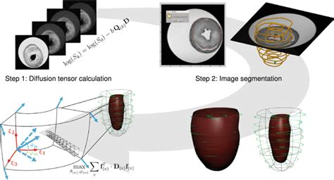 workflow for field based parameterisation of diffusion tensors