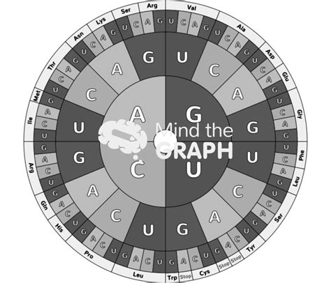 Free Genetic Code Circle Icons Symbols Pictures And Images Mind The Graph
