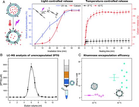 Encapsulation Efficiency And Triggered Content Release From The Download Scientific Diagram