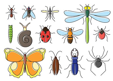 Insect Clipart My Xxx Hot Girl