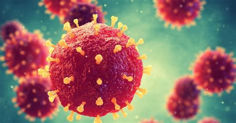 Common Pathogens And How They Affect Us Facty Health