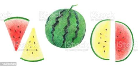 색연필로 손으로 그린 컷 수박과 전체 수박의 일러스트 레이 션 세트 계절에 대한 스톡 벡터 아트 및 기타 이미지 계절 곡선