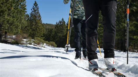 Skyliner Sno Park Oregon 2026 Locals Guide Maps