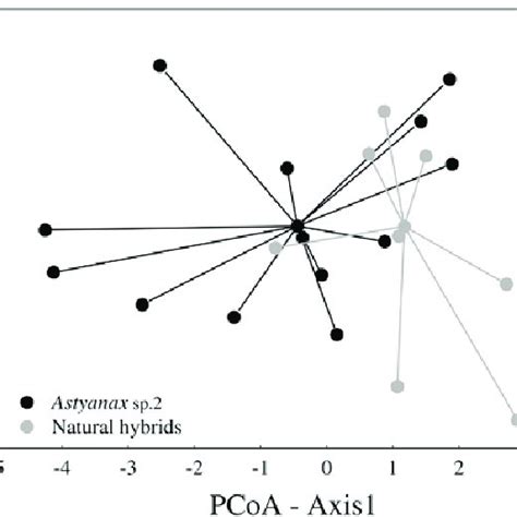 Principal Coordinates Analysis Pcoa Of The Morphometric Characters