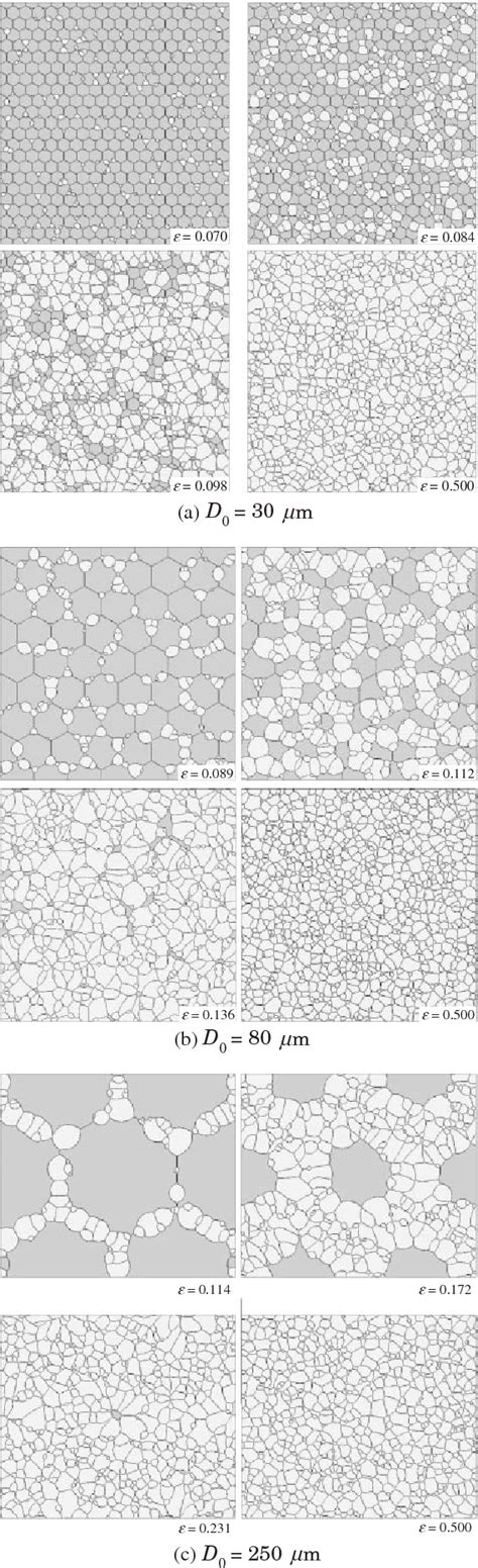 Figure 1 From Multi Phase Field Model To Simulate Microstructure Evolutions During Dynamic