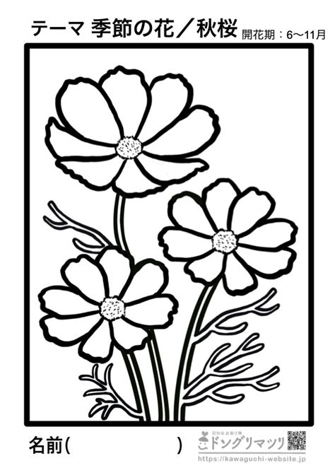 【塗り絵まとめ】10月に使えるぬり絵一覧 高齢者用脳トレ・塗り絵無料｜ドングリマツリ｜認知症予防クイズ・レク