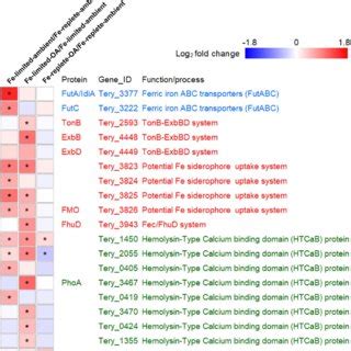 The Heatmap Displaying The Log 2 Fold Change In Protein Expressions