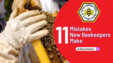 11 Essential Tips For Beginner Beekeeping Avoiding Common Mistakes Villa Carmen Bees