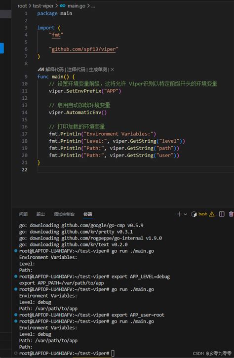 【golang】viper库使用 golang viper csdn博客