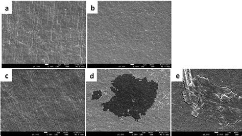 Scanning Electron Micrographs Sem Of A Pristine Ldpe Aem 100 Download Scientific Diagram