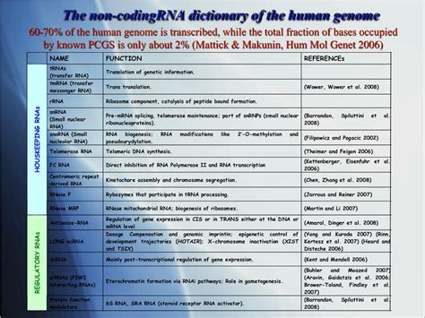 Ppt Non Codingrna Paradigms In Medical Practice Powerpoint