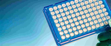 High Throughput Drug Screening Creative Diagnostics