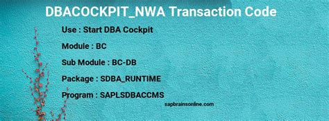 Dbacockpit Nwa Sap Tcode For Start Dba Cockpit