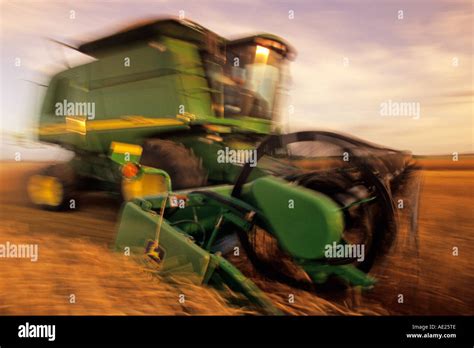 Winter Wheat Harvest Spring Wheat Harvest Canadian Prairies Near