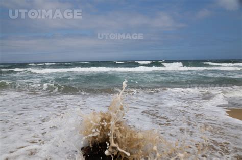 유토이미지 파도 치는 동해바다 해안가