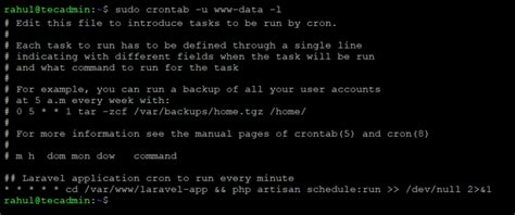 Running A Crontab As Data User In Linux Tecadmin