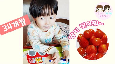 육아vlog 딸기가 먹고 싶은 가미~ 아이스크림보단 딸기 Youtube