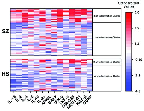 Heatmap And Cluster Analysis Of Biomarker Data In SZ And HS Groups