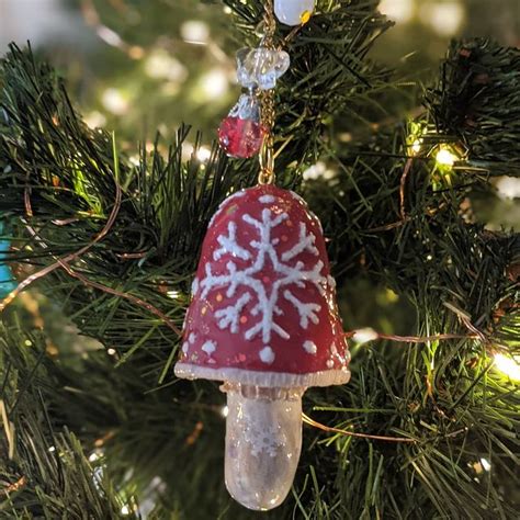 Sara🧁🍩 On Instagram “snowflake Amanita This Type Of Mushroom Only Sara🧁🍩 On Instagram “snowflake Amanita This Type Of Mushroom Only