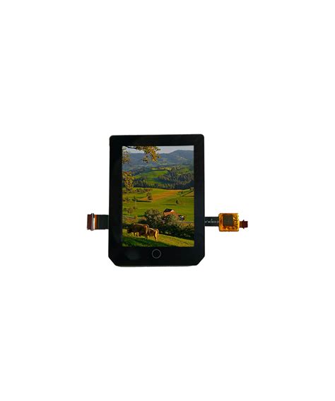 Various Sized TFT LCD Modules Resistive Touch Screen Manufacturers