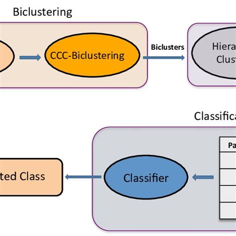 workflow of a classifier based on meta biclusters download