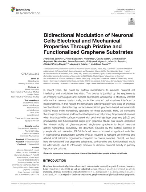 Pdf Bidirectional Modulation Of Neuronal Cells Electrical And