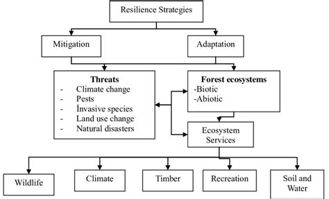 Resilience Framework For Forest Ecosystem Conservation Download Scientific Diagram