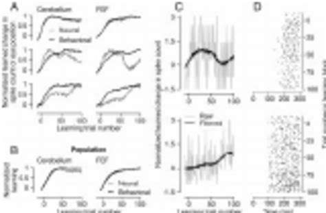 Comparison Of Neural And Behavioral Learning Curves Download