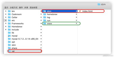 Mac Nginx 配置文件使用（nf，包含m系列）macnginx Csdn博客