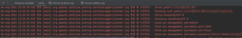 Intellijtomcat 로그 한글 깨짐 해결 방법 Vm Options 수정 안될 때