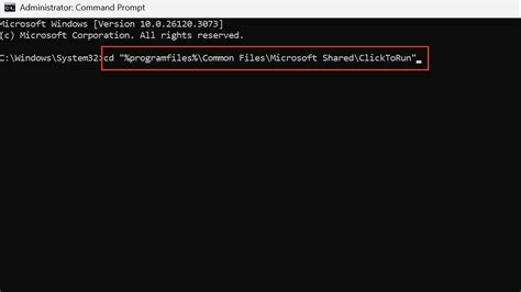 How To Fix Theres A Problem With Your Office License Error