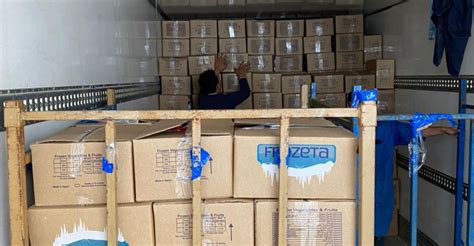 Frozeta For Export Products