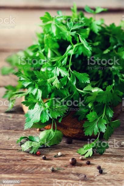 텍스트에 대 한 여유 공간 선택적 초점 소박 하 고 빈티지 스타일 Copyspace 나무 배경에 신선한 유기농 파 슬 리의 무리 리투아니아에 대한 스톡 사진 및 기타 이미지