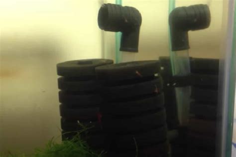 How To Set Up A Sponge Filter Guide And Tips