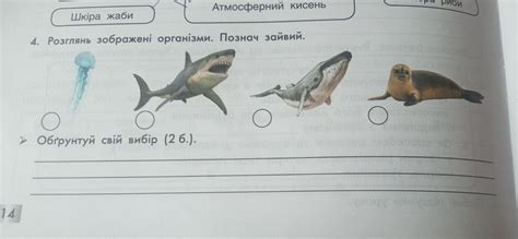 Розглянь зображення організмів Познач зайвий Школьные Знания Com