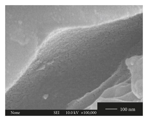 Morphology Of Biochar Particles Showing The Shape Of The Pores