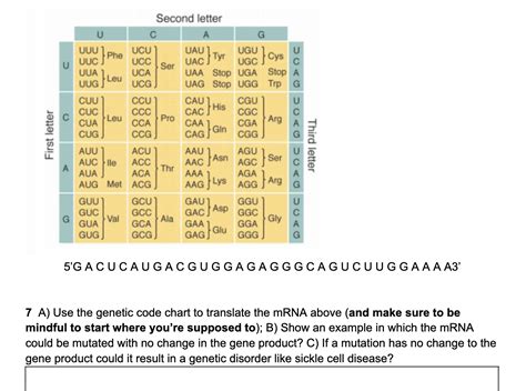 Solved A Use The Genetic Code Chart To Translate The MRNA Chegg