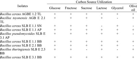Carbon Source Utilization Of The Endophytic Bacteria Strains Download Scientific Diagram