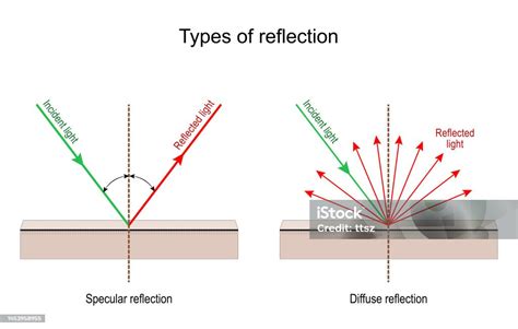 Types Of Reflection Specular And Diffuse Reflection Stockvectorkunst En