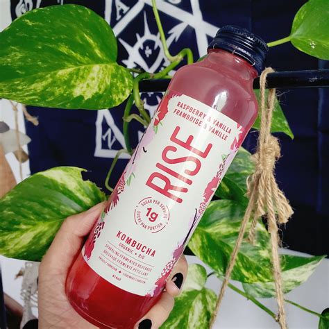 Rise Kombucha Raspberry And Vanilla Kombucha Reviews Abillion