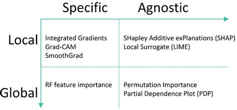 Agnostic Explainable Artificial Intelligence Xai An Introduction