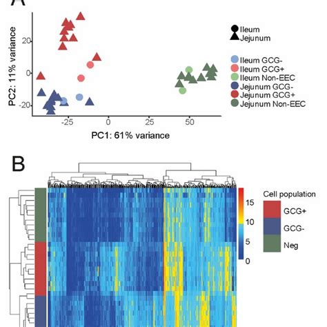Comparison Between Human And Mouse L Cells 2 Download Scientific Diagram