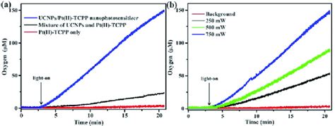 A Photochemical Oxygen Evolution In 1 5 Ml Of A Ph 7 0 0 1 M Download Scientific Diagram