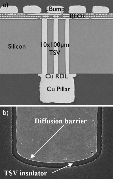 Sem Section Of A Chip Showing Three Tsvs Connecting The Beol To The Download Scientific Diagram