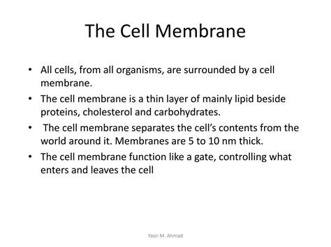 Solution Cell Structure And Function Lect2 Studypool