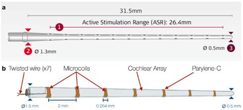 Cochlear Implant Array Mock Ups A Med El Standard Cochlear Implant Download Scientific